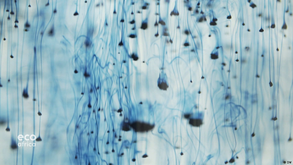 Bacteria that create pretty colors – DW – 06/21/2019