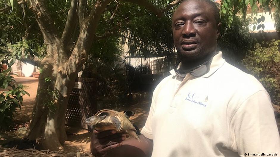 The turtle man – DW – 06/27/2019