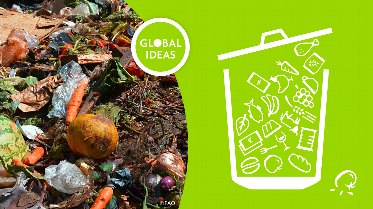 Learning pack #4: When food becomes trash – DW – 07/16/2019