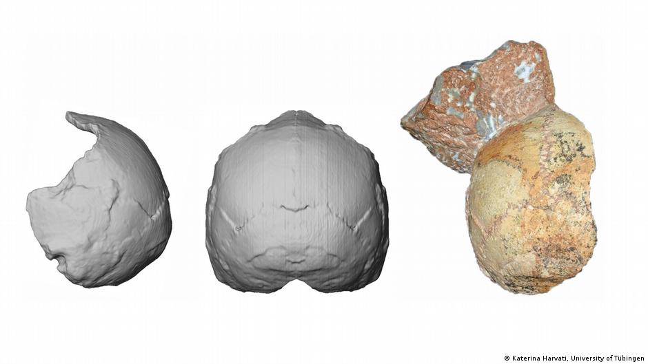 Researchers identify oldest human remains in Europe – DW – 07/10/2019