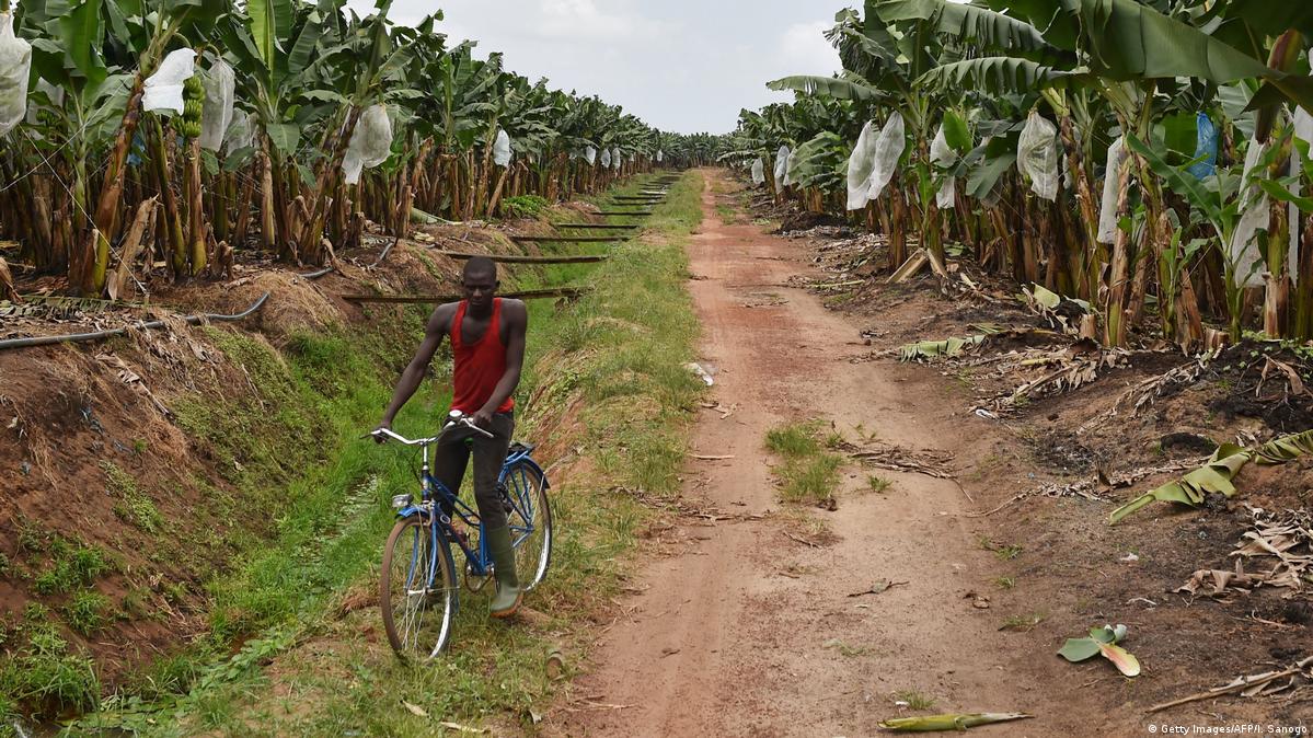 Côte d’Ivoire : à Dabou, la peur et la méfiance – DW – 27/10/2020