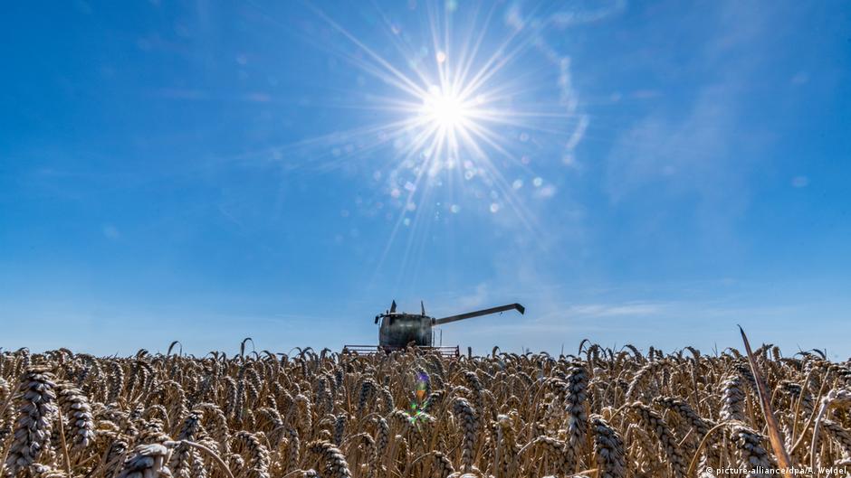 German farmers hit by summer of drought – DW – 07/25/2019