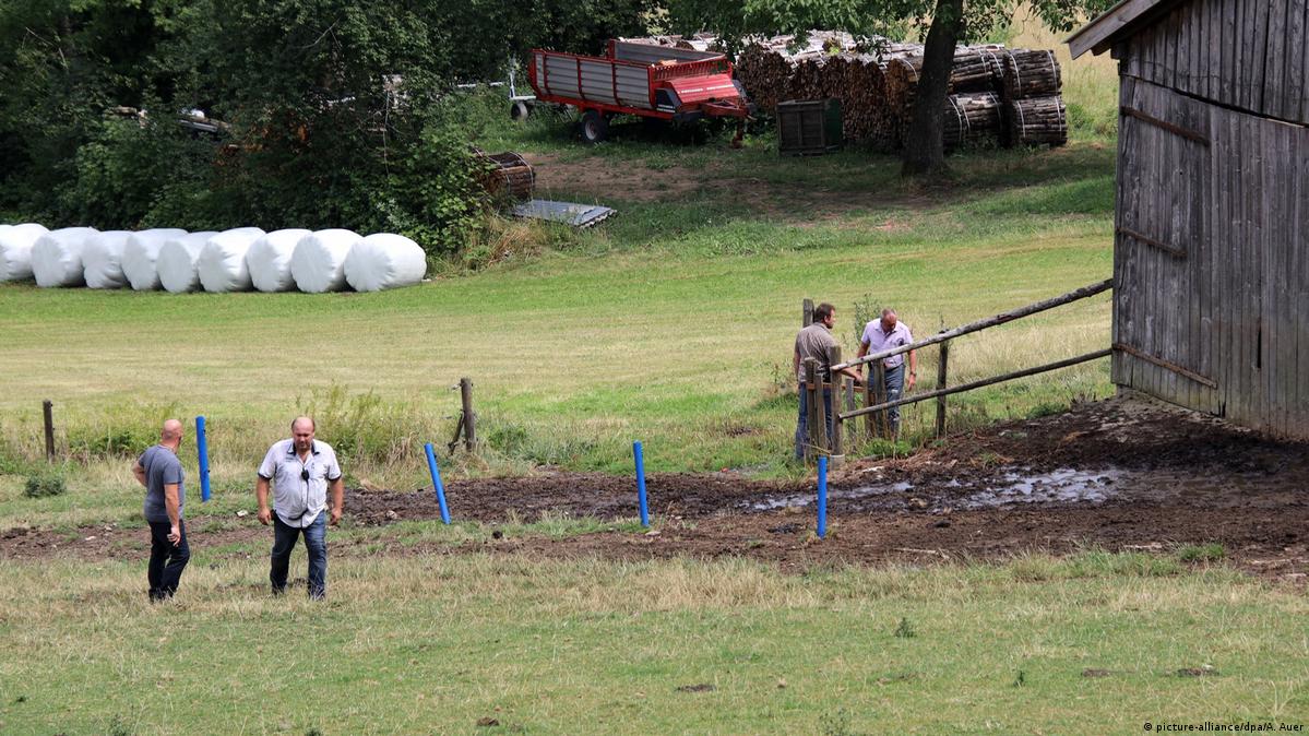 German police shoot killer bull in Bavaria