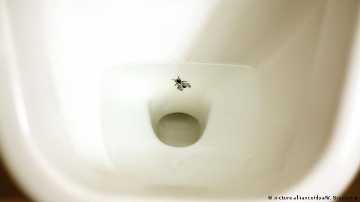 Nudges: How little tricks influence our decisions | Science | In-depth ...