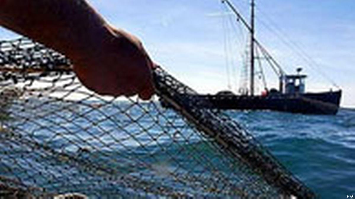Overfishing Nets Against Overfishing: Protect Large Spawners And