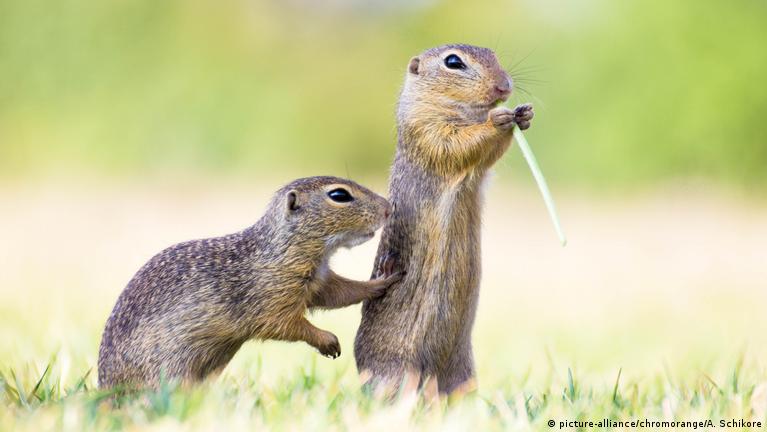 Nudges: How little tricks influence us – DW – 12/13/2019