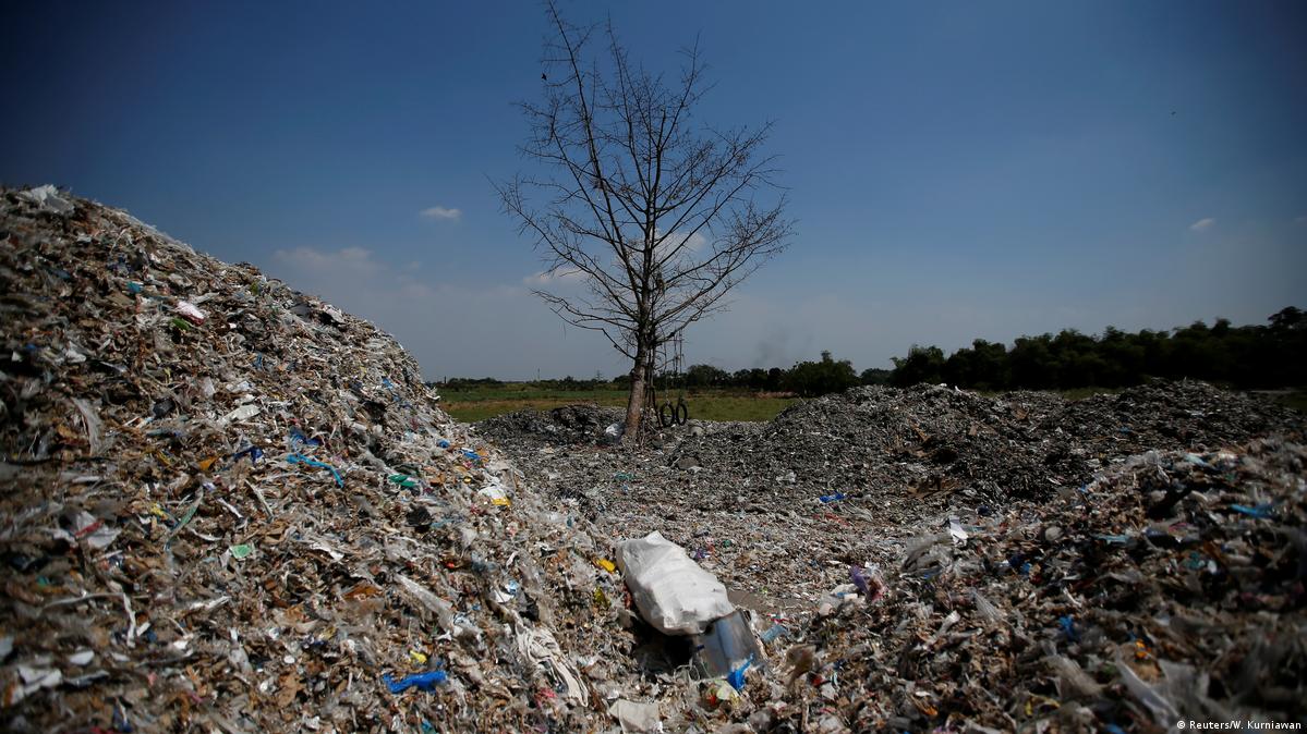 Dioksin Sisa Pembakaran Sampah Plastik Ditemukan di Telur – DW – 14.11.2019