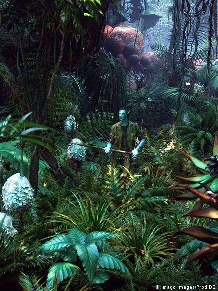 Avatar Movie Forest