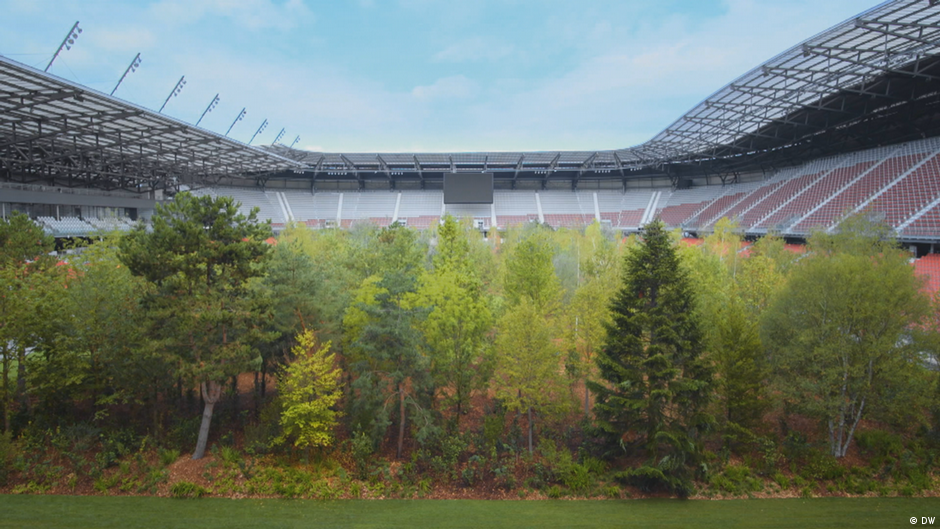 The "For Forest" Art Installation – DW – 09/14/2019