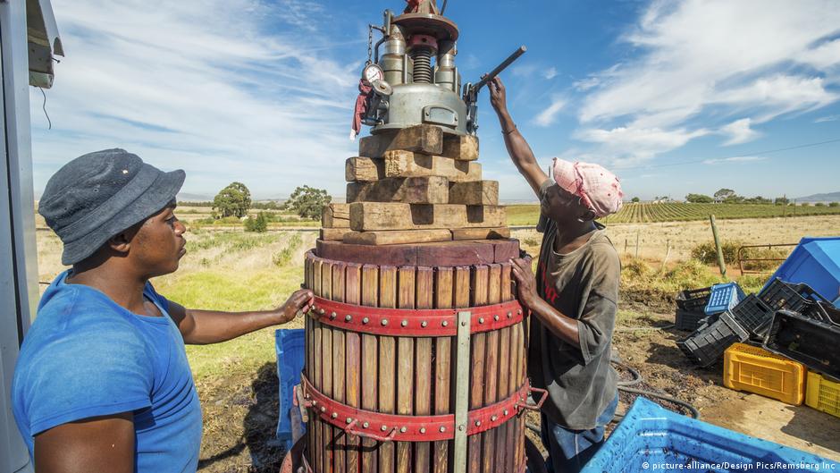 Journal 17h TU (19.11.2019) – DW – 19/11/2019