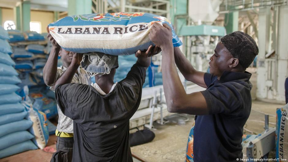 Du riz destiné aux populations introuvable au Cameroun – DW – 30/07/2020