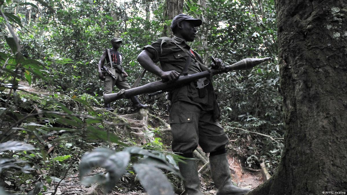 FDLR blamed for killing of Italian ambassador to DR Congo – DW – 02/23/2021