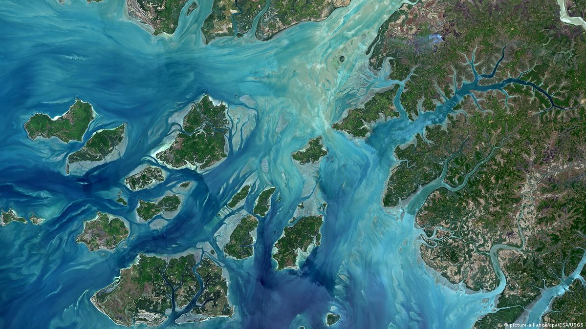 Mudflats: The world's great coastal protectors – DW – 01/17/2020