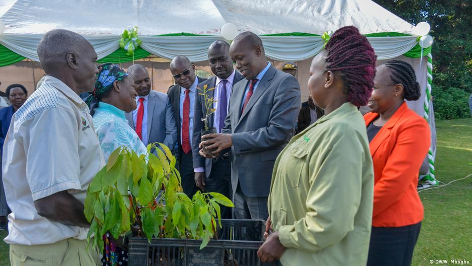 Ushawishi wa kilimo cha parachichi Nakuru – DW – 19.09.2019