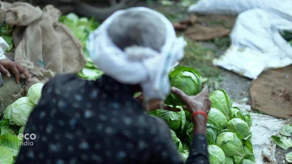 Food losses in India – DW – 09/26/2019