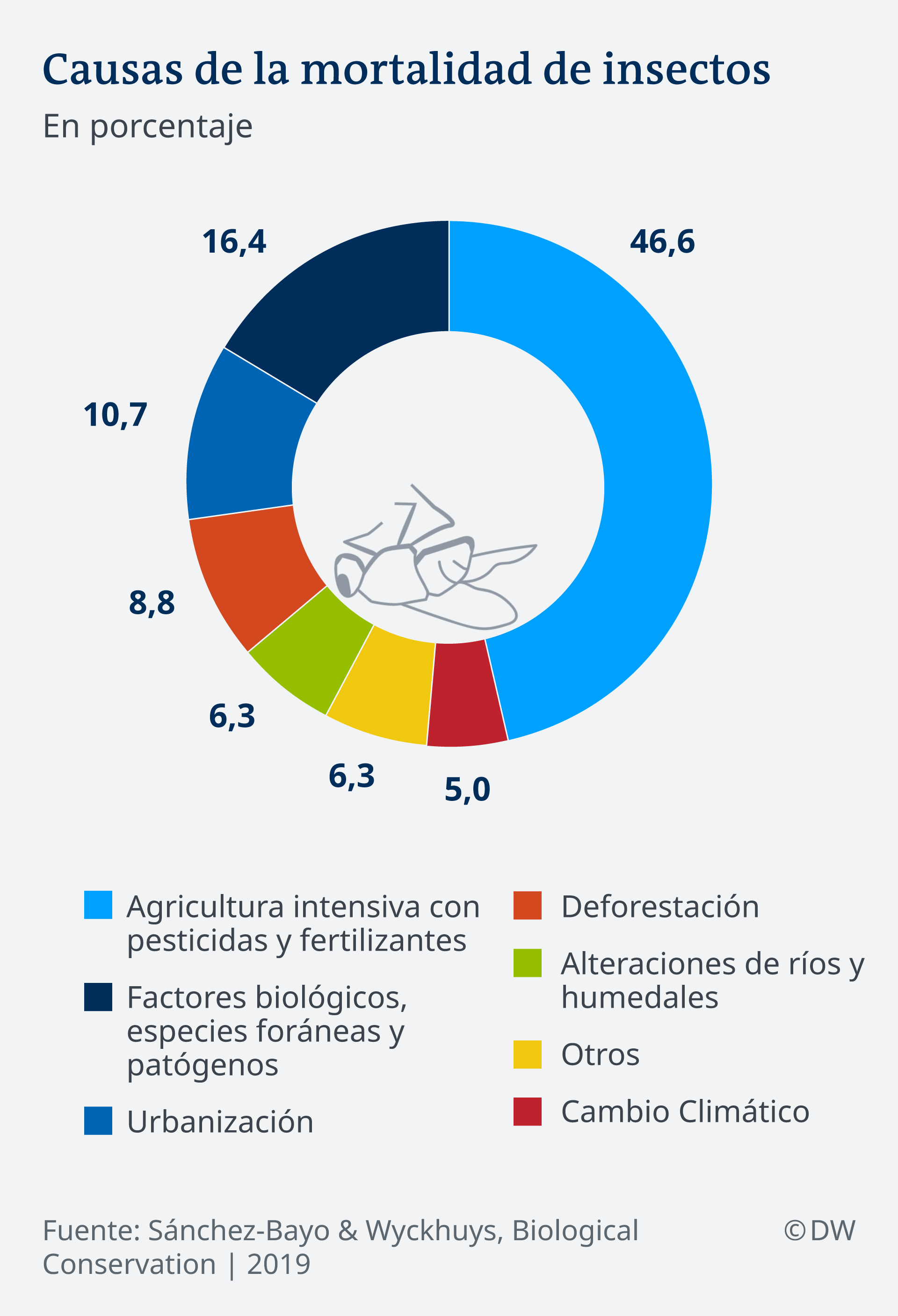 ¿Cómo podemos detener la extinción de los insectos? | Proteccion del ...