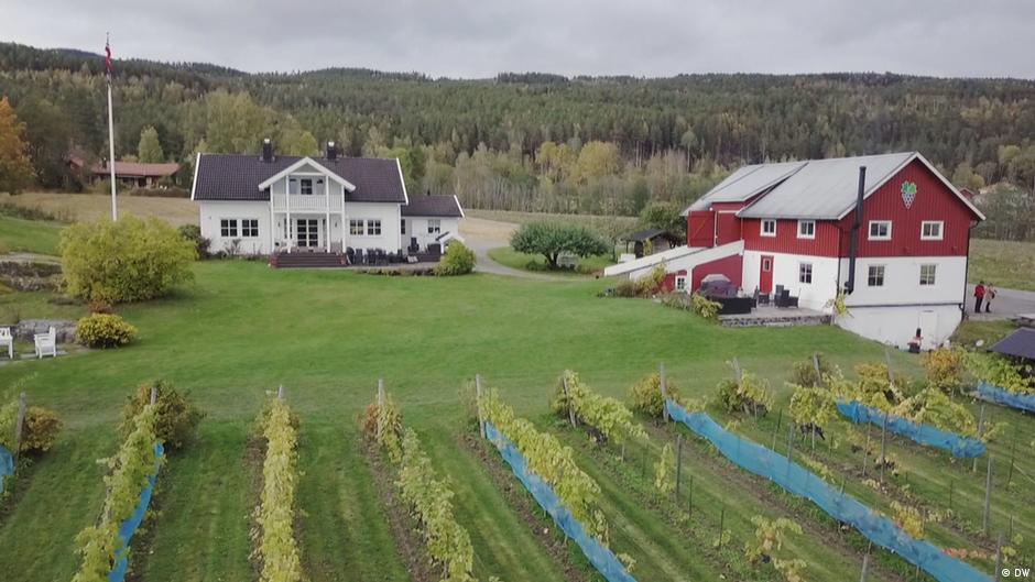 Northern wine