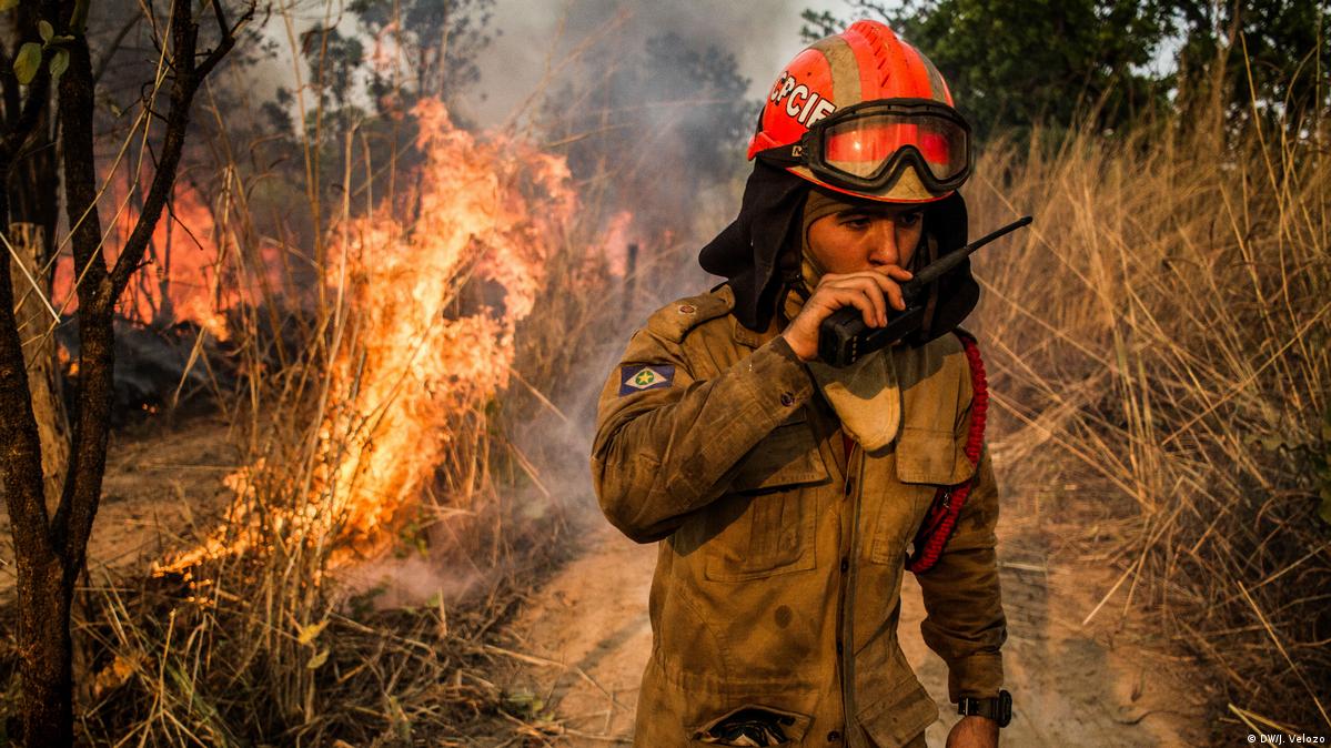 Fighting fire in Brazil's Cerrado – DW – 10/24/2019