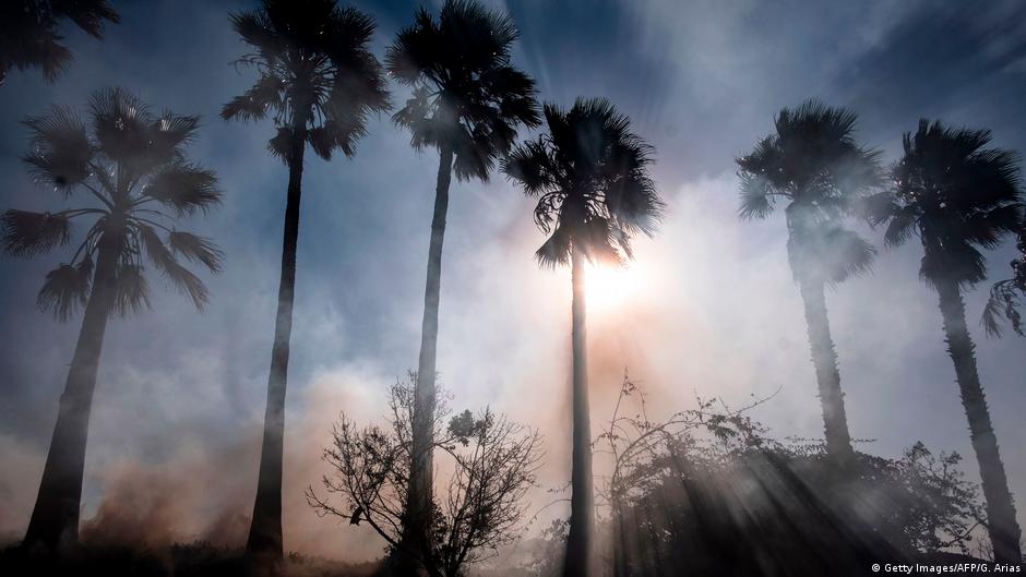 Tres muertos por incendios en México – DW – 26/10/2019