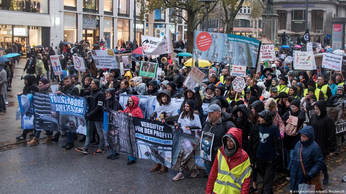 Animal Cruelty Protests