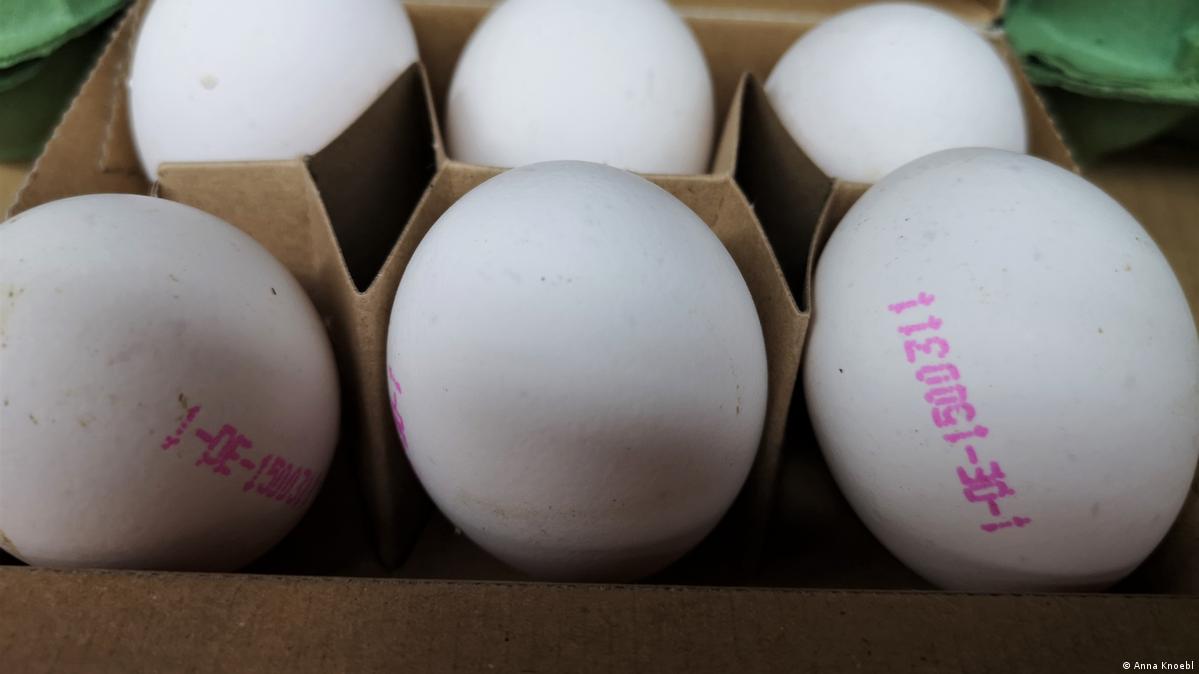 Apa Arti Kode Nomor pada Telur di Supermarket Jerman?