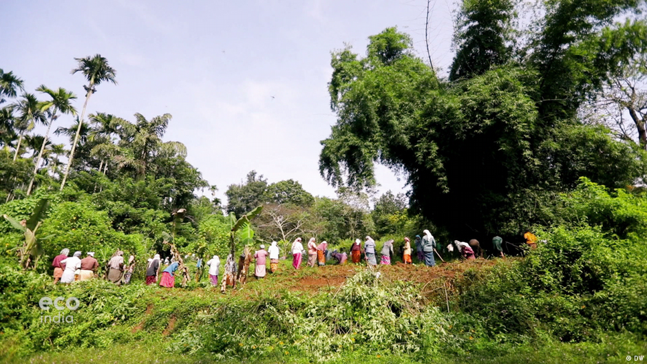Carbon neutral town Meenangadi – DW – 03/27/2020