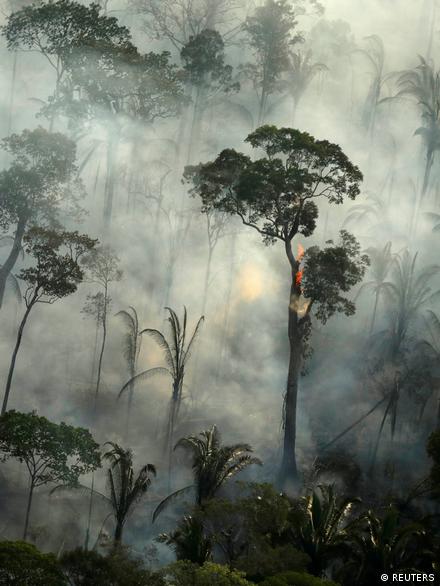 Catching Fire Acid Fog