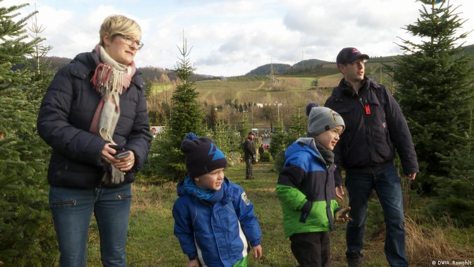 O Christmas tree – DW – 12/21/2019