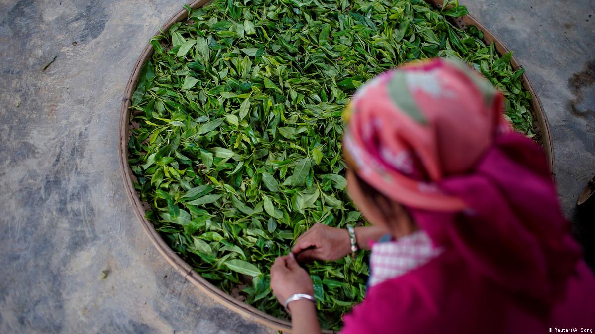 AI, Blockchain tech to rescue modern slaves – DW – 01/24/2020