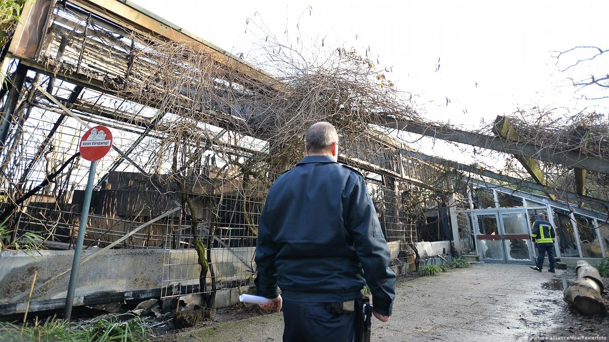 Police investigate trio over deadly zoo fire – DW – 01/02/2020