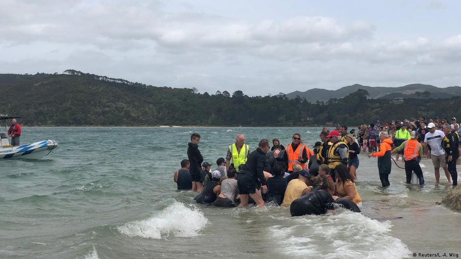 Hunderte Neuseeländer retten sieben Wale – DW – 04.01.2020