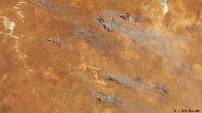 Waldbrände weltweit: Klimawandel und Rodungen erhöhen das Risiko ...