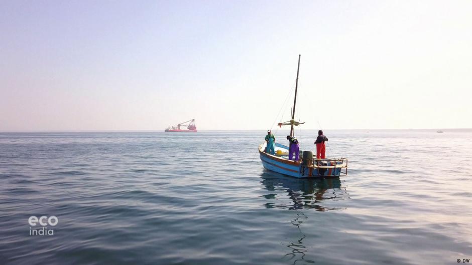 Explainer: Are our oceans empty? – DW – 01/16/2020