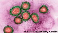 Coronavirus: Everything you need to know
