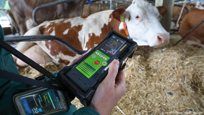 Weltweiter Methangas-Ausstoß erreicht neue Höchstwerte | Aktuell Welt ...