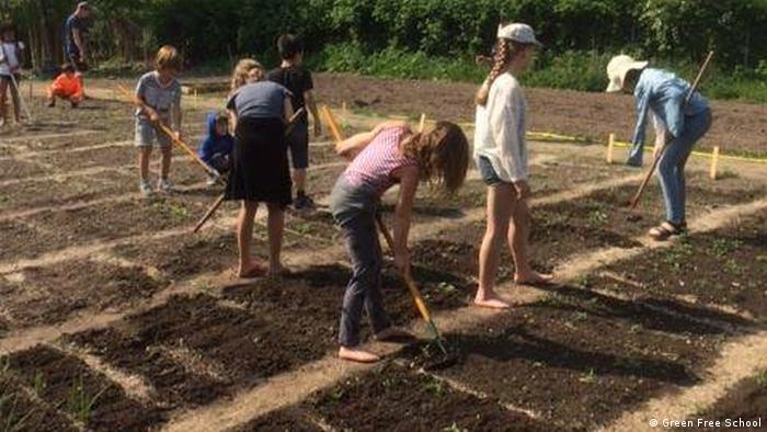 Meet Denmark′s school where education is all about sustainability ...