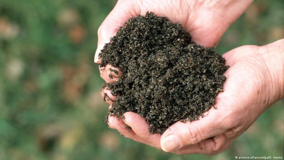 Living Planet: The sound of soil
