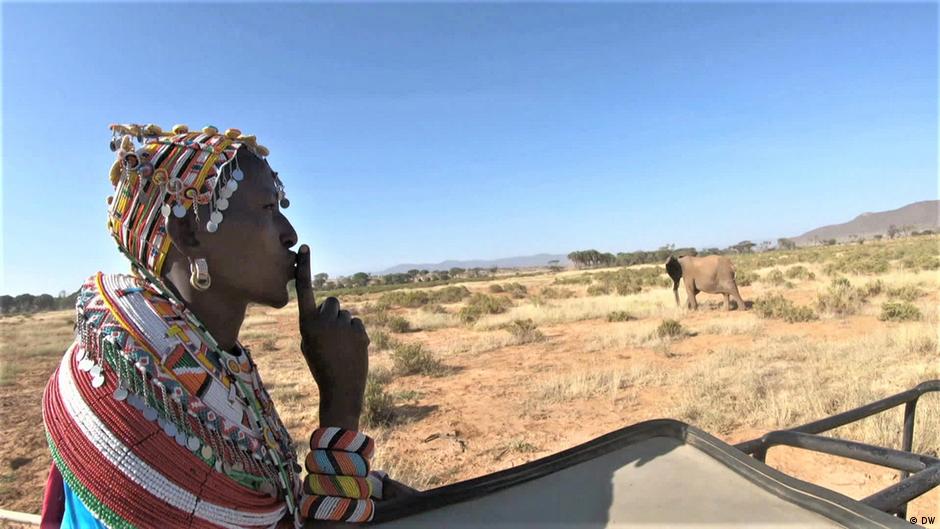Kenya: Mama Tembo's elephant helpers – DW – 03/09/2020