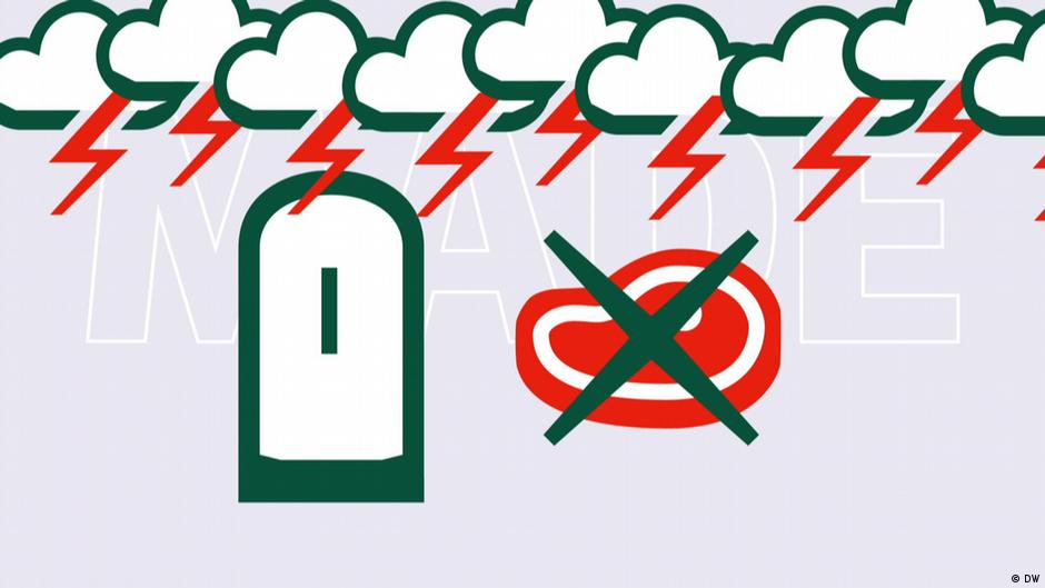 Five ideas to promote climate protection – DW – 02/02/2022