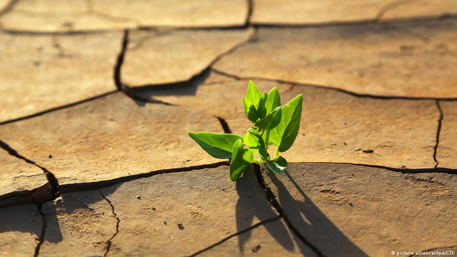 Living Planet: Growing solutions