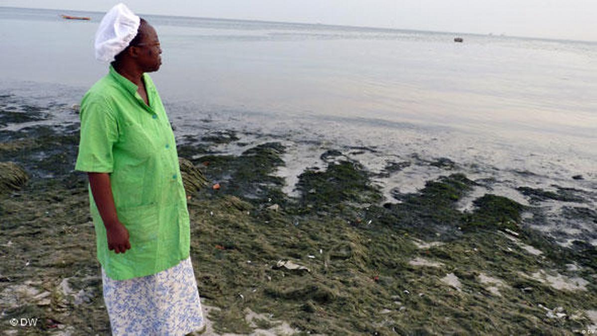 Senegal - coastal erosion poses huge problem – DW – 04/04/2017