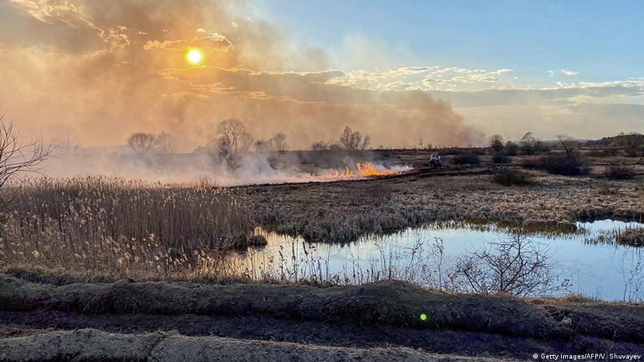 Ukraine: Crews extinguish Chernobyl forest fire – DW – 04/14/2020