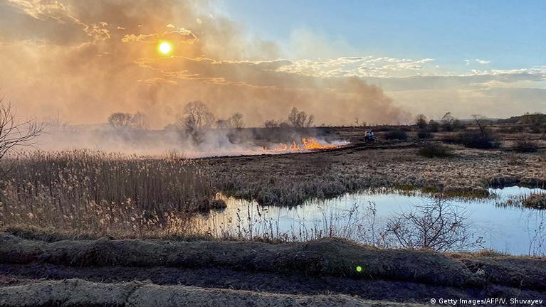 Ukraine: Crews extinguish Chernobyl forest fire – DW – 04/14/2020
