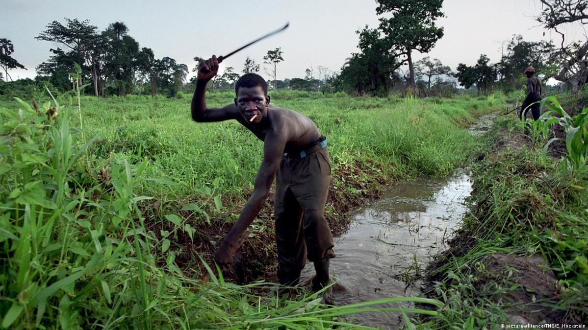 Koliko robova radi za Vas? – DW – 21. 7. 2020.