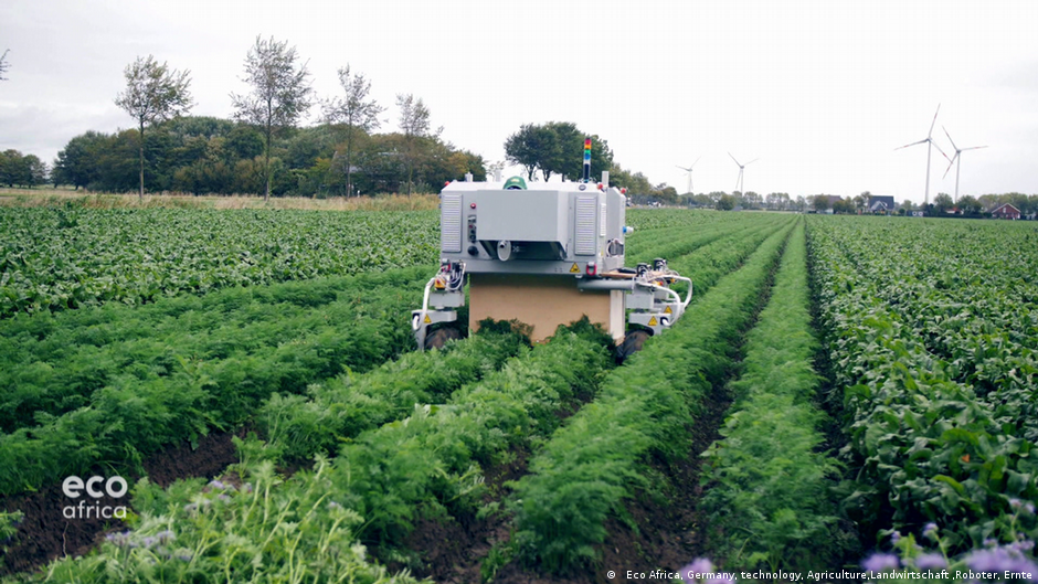 Robots in the field – DW – 06/26/2020