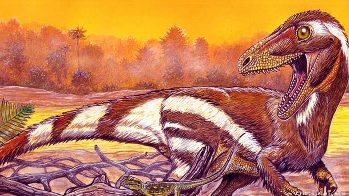 Brazil scientists discover fossil of new dinosaur species – DW – 07/11/2020
