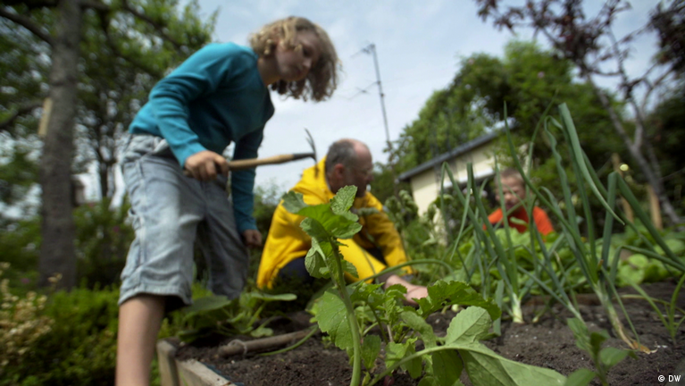 German Allotment Gardens