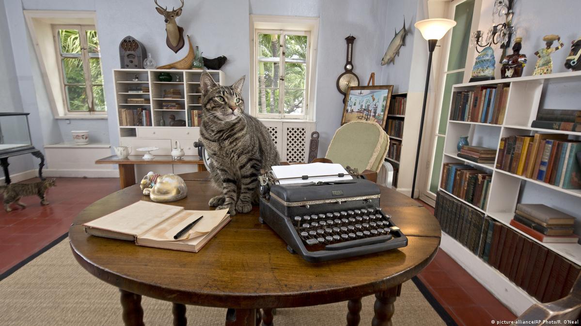 Casa de Hemingway sobrevive gracias a sus gatos mutantes