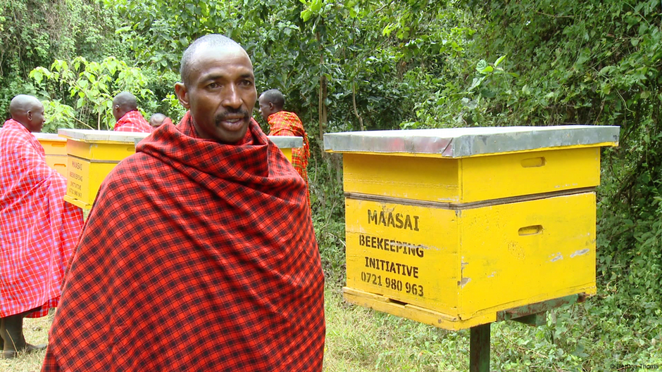 Kenyas Maasai Keeping The Bees Dw 09 18 2020