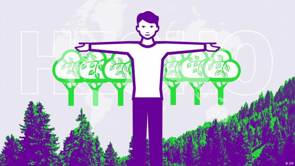 Datos y hechos: El bosque en números